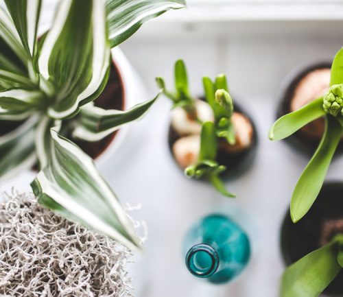 CONTACT NICKERIE – Residence Inn